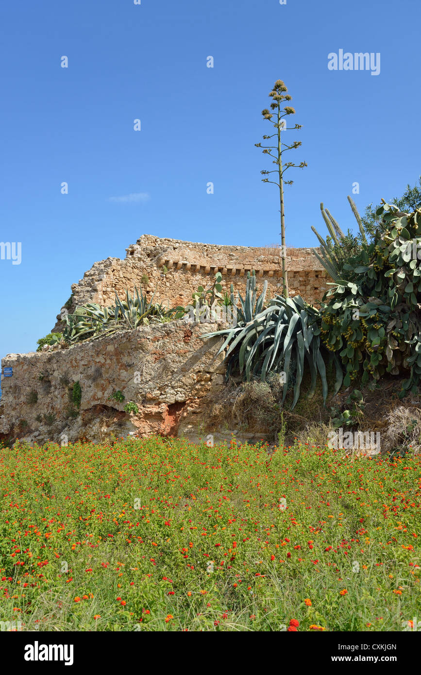 Greek poppy field greece hi-res stock photography and images - Alamy