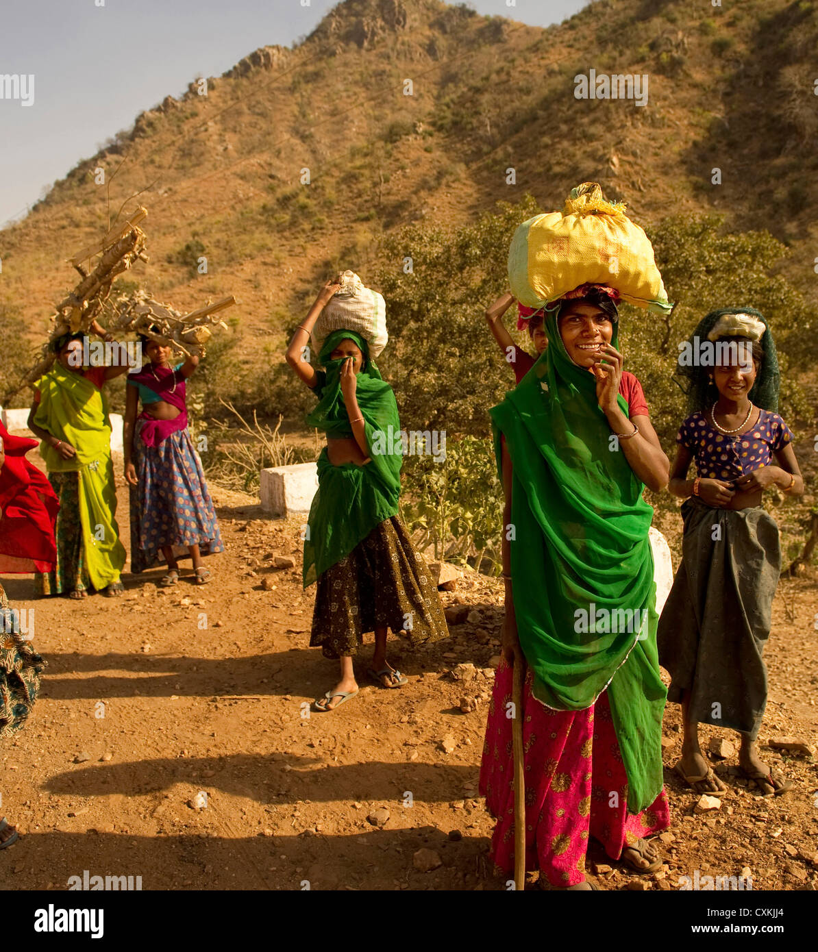 The women of the Kalbelia tribe are herders of goat and donkey flocks ...