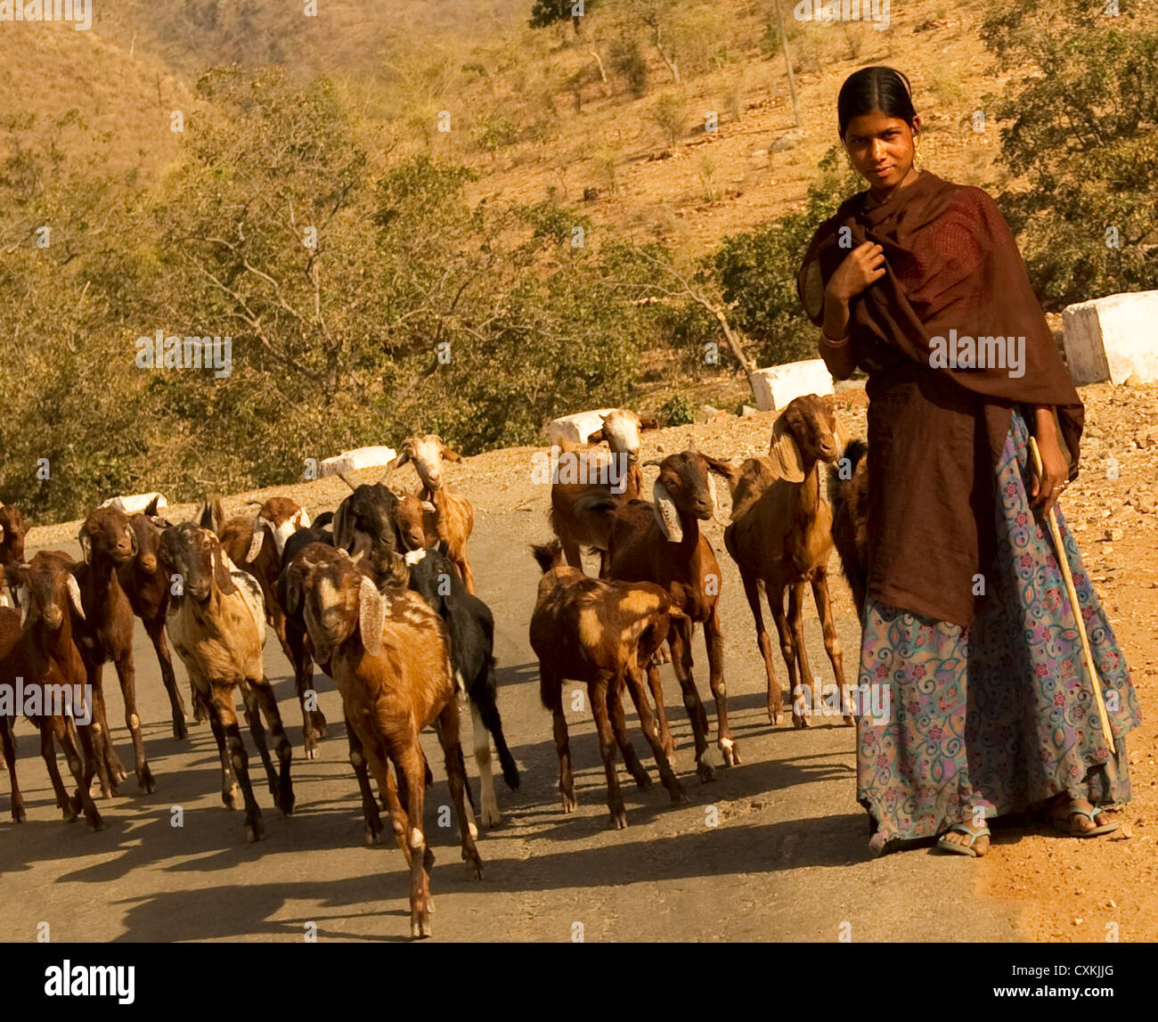 The women of the Kalbelia tribe are herders of goat and donkey flocks ...