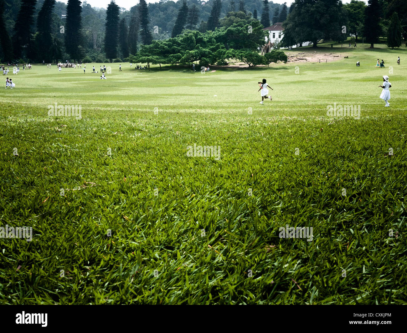 Children in kandy botanical gardens hi-res stock photography and images ...
