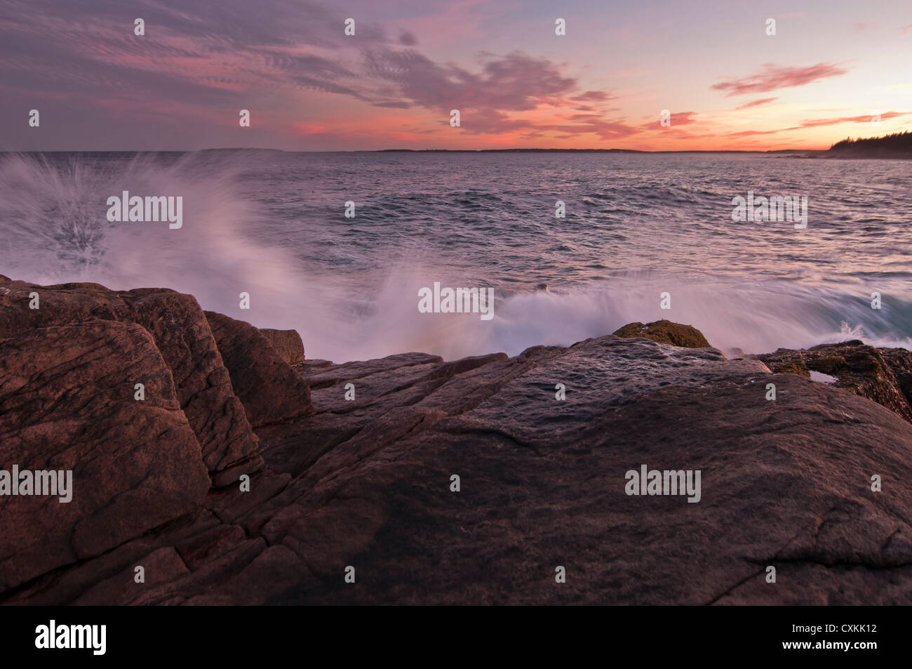 Acadia national park's otter cove with waves crashing and sunset ...
