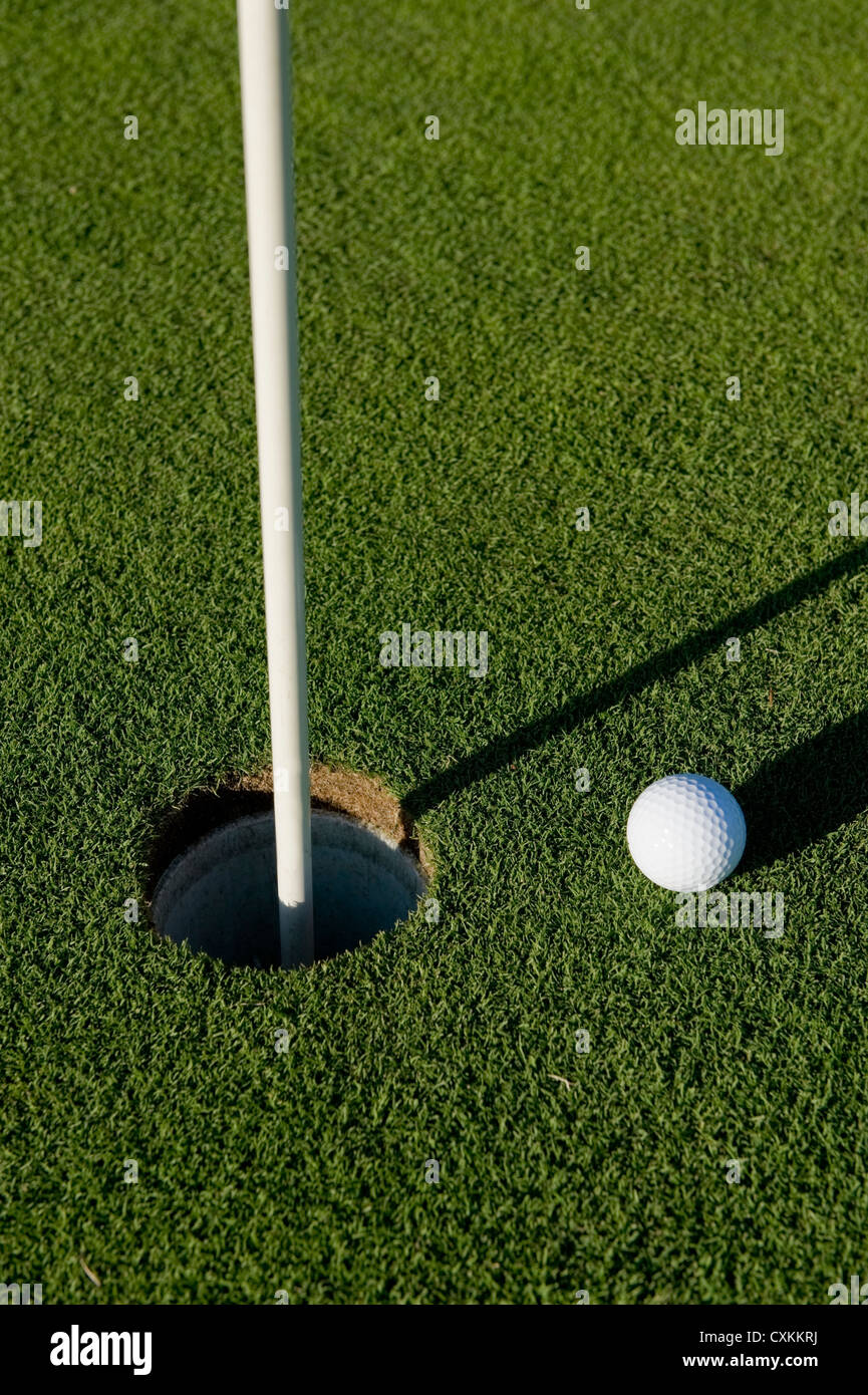 A white golf ball near the hole of a golfing green or course Stock ...