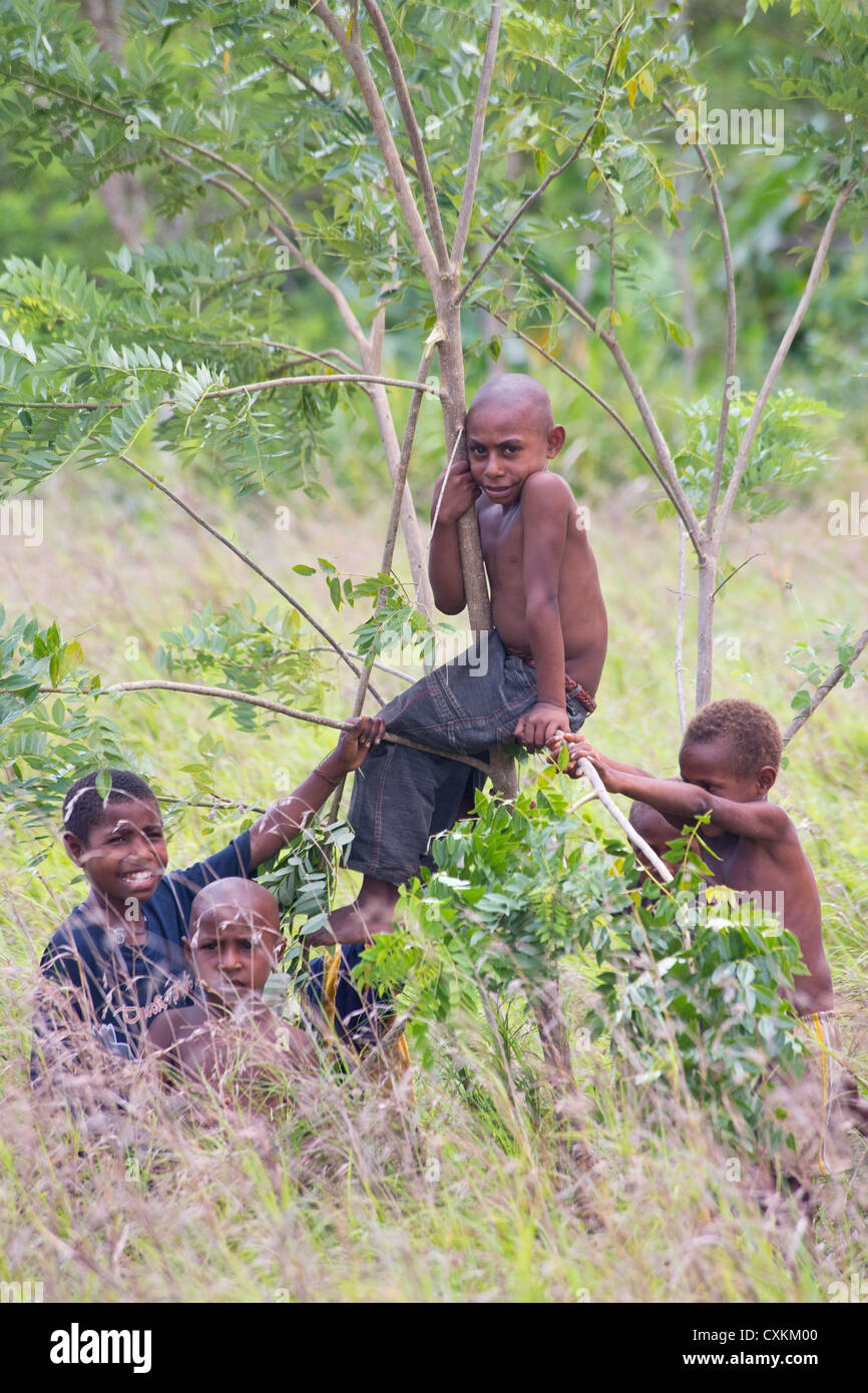 Papua New Guinea Boys High Resolution Stock Photography and Images - Alamy