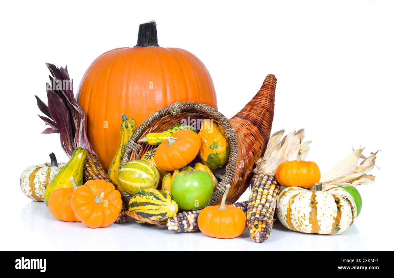 A harvest, autumn or Thanksgiving cornucopia with corn, pumpkins ...