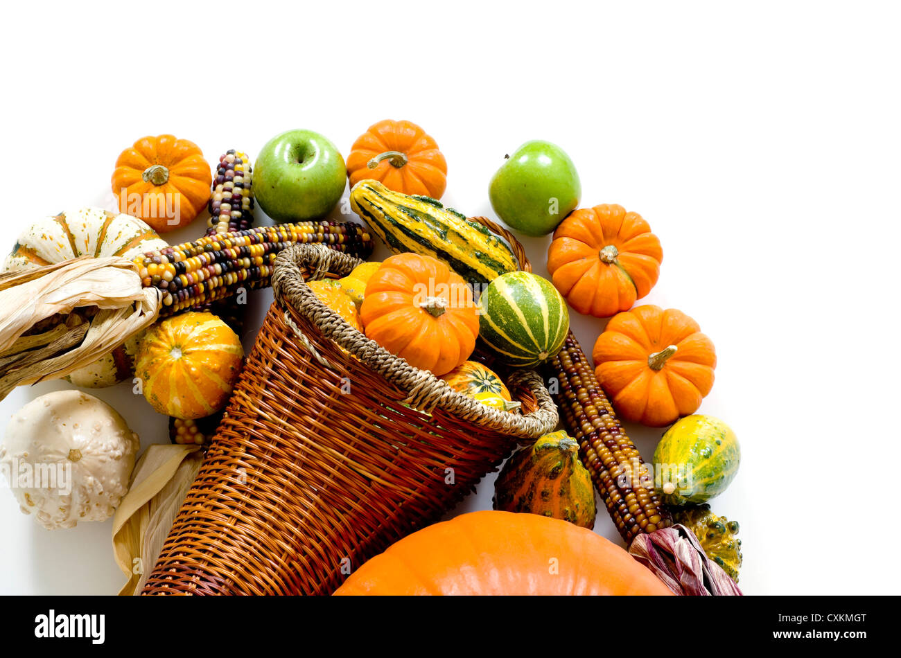 Cornucopia gourds hi-res stock photography and images - Alamy