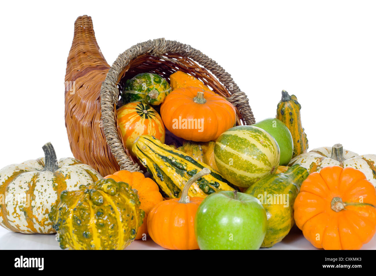 A harvest, autumn or Thanksgiving cornucopia with corn, pumpkins ...