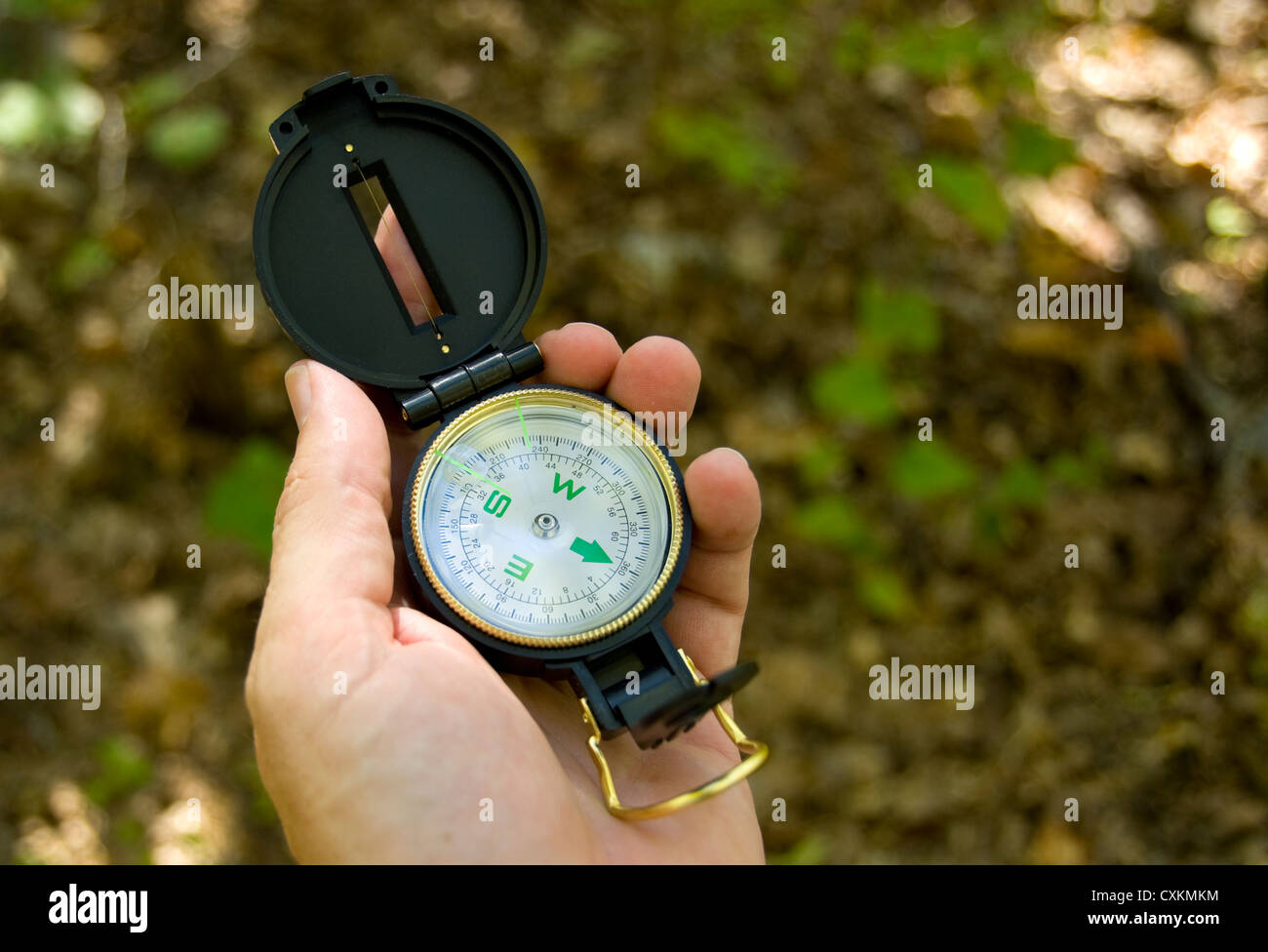 A man's hand holding an engineer's compass on a hiking trail Stock ...