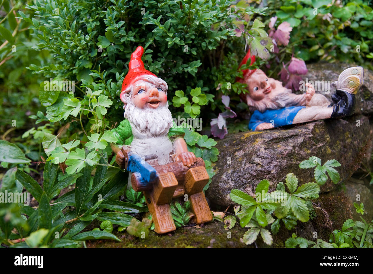 Garden Gnomes, Freiburg, Baden-Wurttemberg, Germany Stock Photo - Alamy