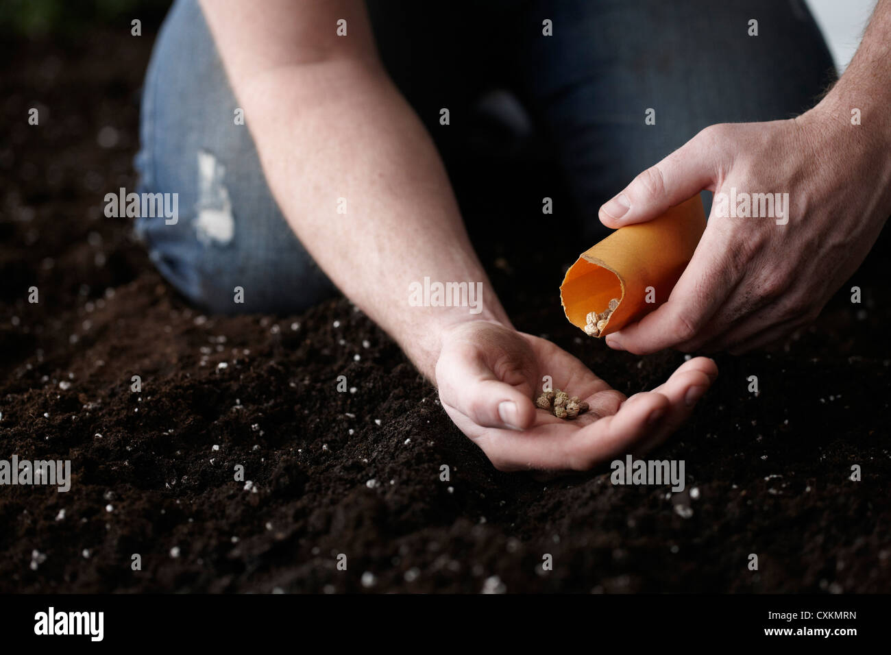 Man Planting Nasturtium Seeds in Garden Stock Photo - Alamy