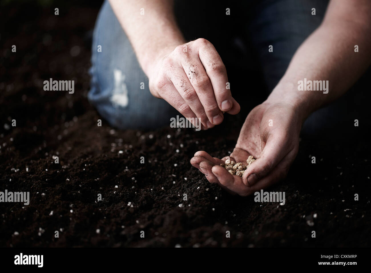 Man Planting Nasturtium Seeds in Garden Stock Photo - Alamy
