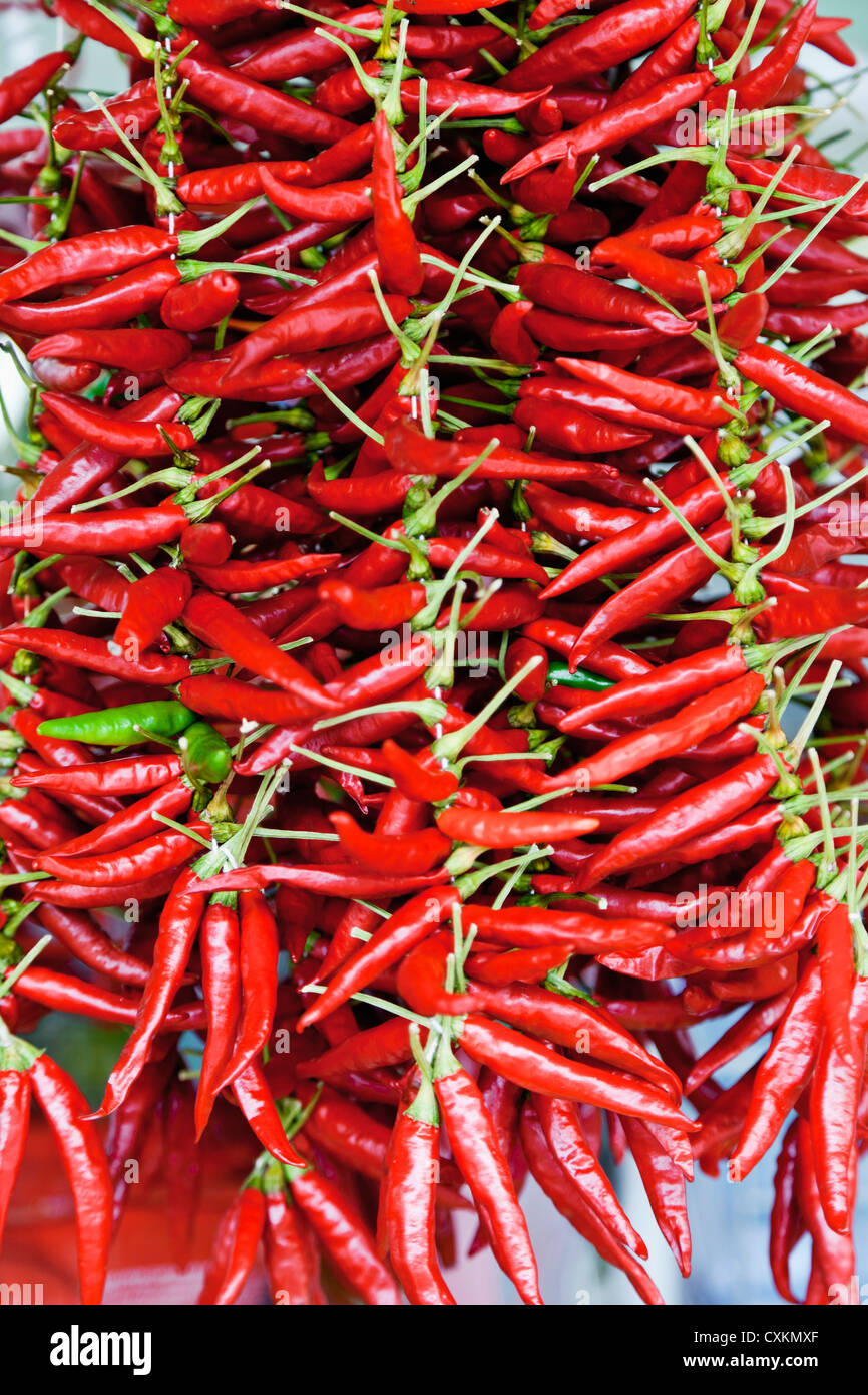 Red Chili Peppers Stock Photo - Alamy