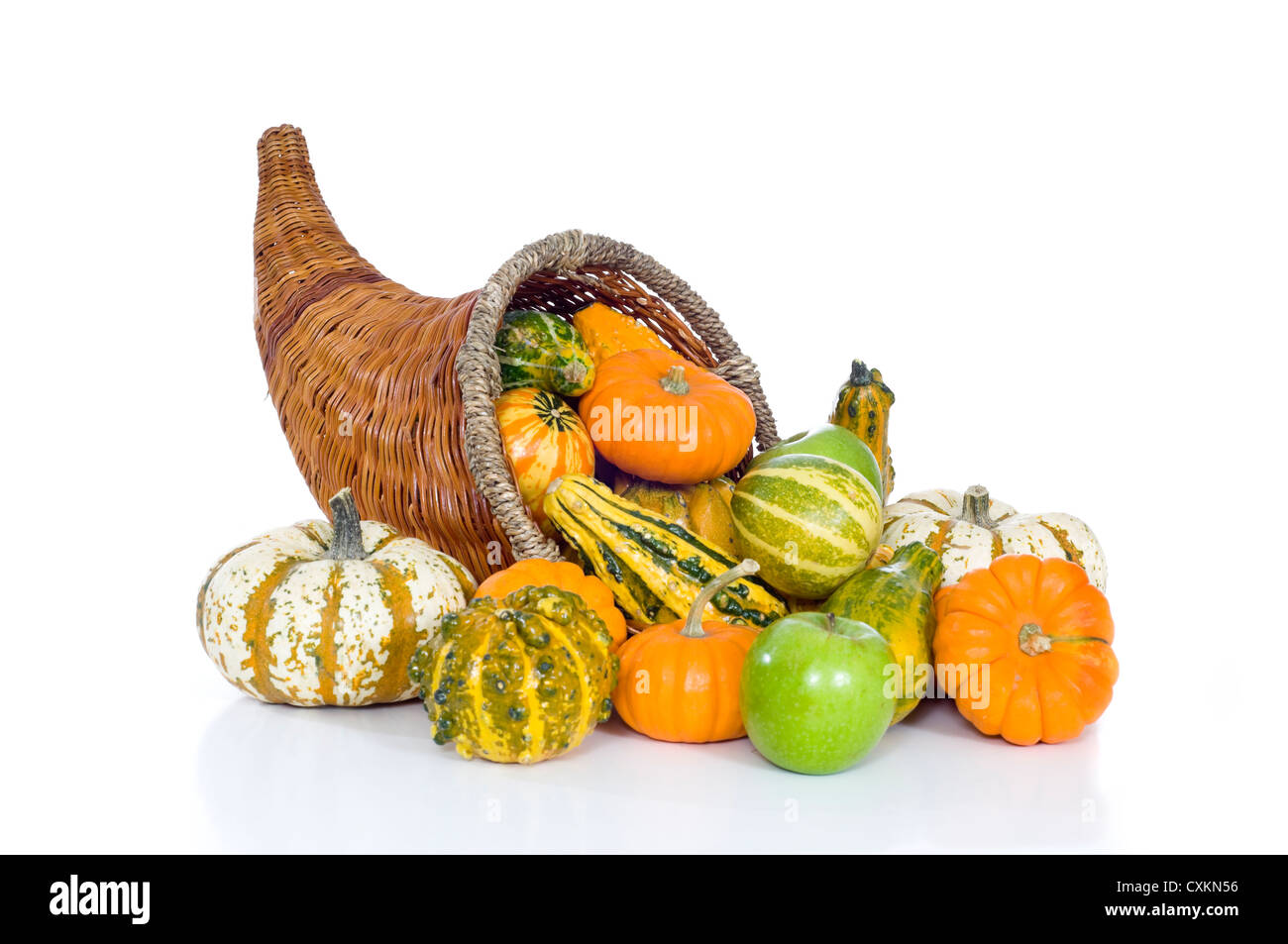 Cornucopia gourds hi-res stock photography and images - Alamy