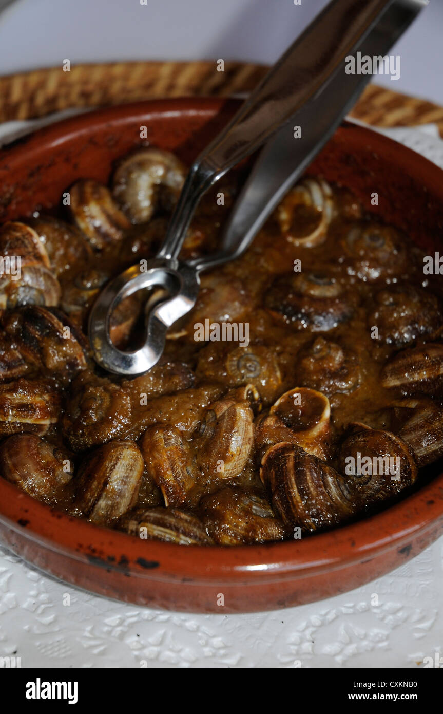 Spicy Snails High Resolution Stock Photography and Images - Alamy