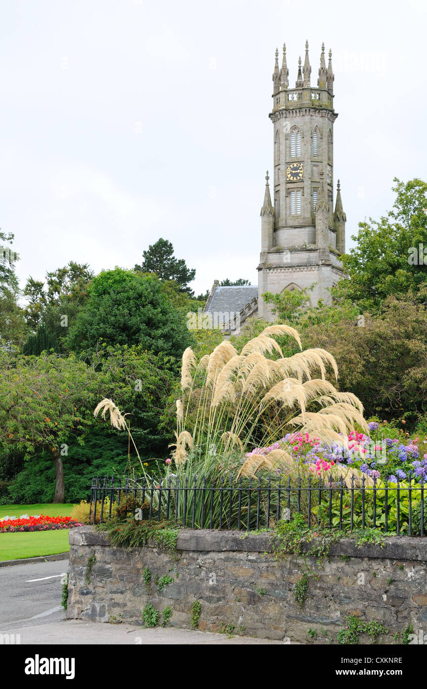 Church tower and pampas grass in the foreground in the village of Rhu ...