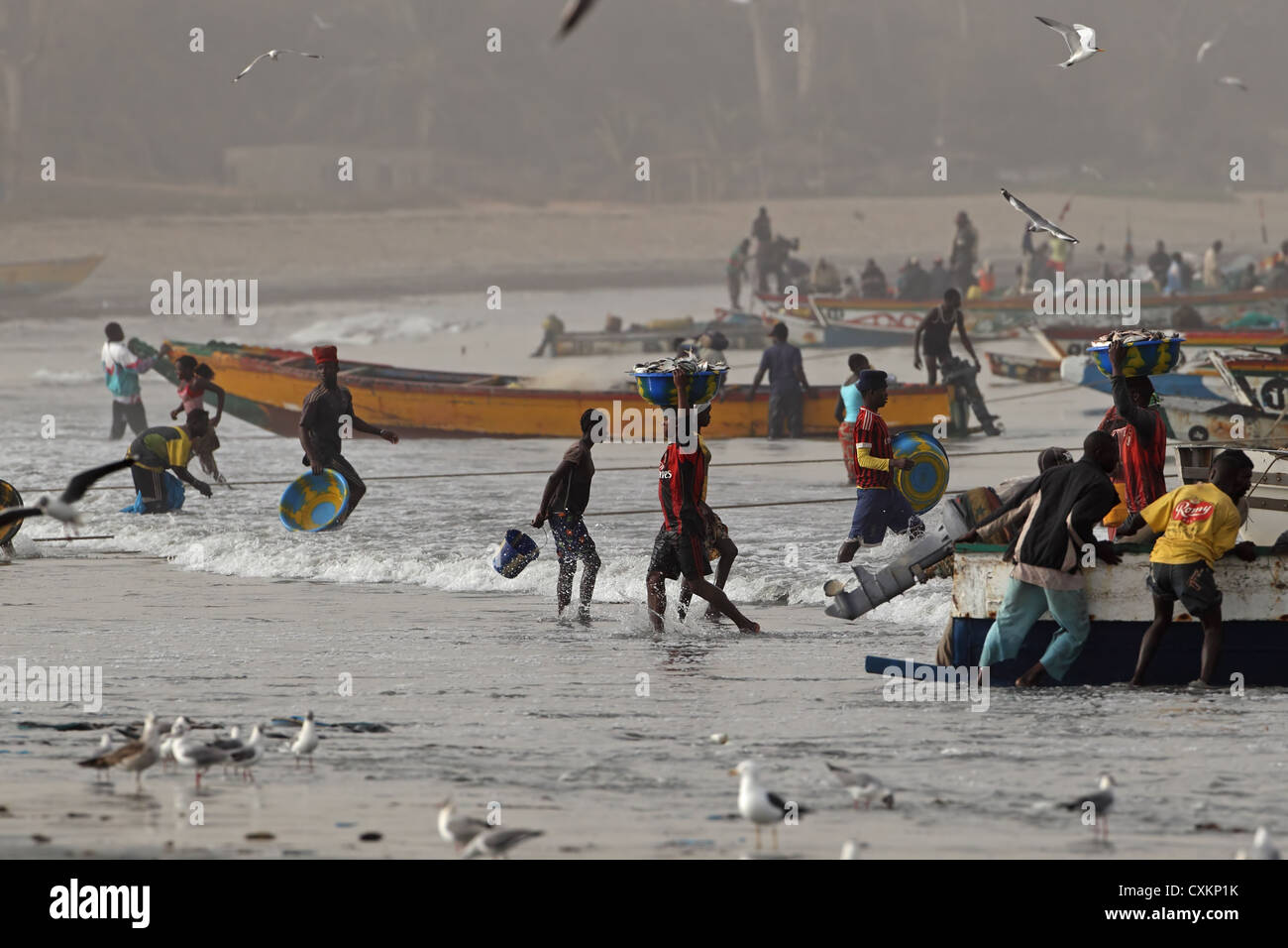 Tanji hi-res stock photography and images - Alamy