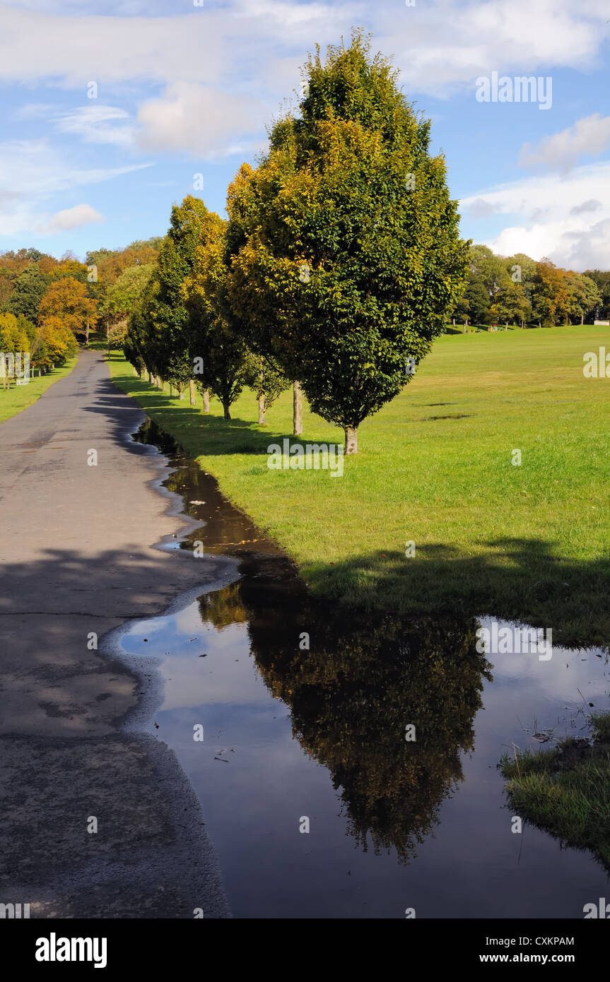 Large puddle draining away after the heavy rain in Bellahouston Park ...