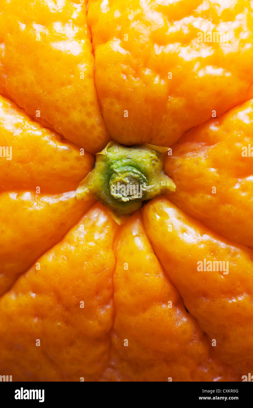 Close-up of Navel Orange Stock Photo - Alamy