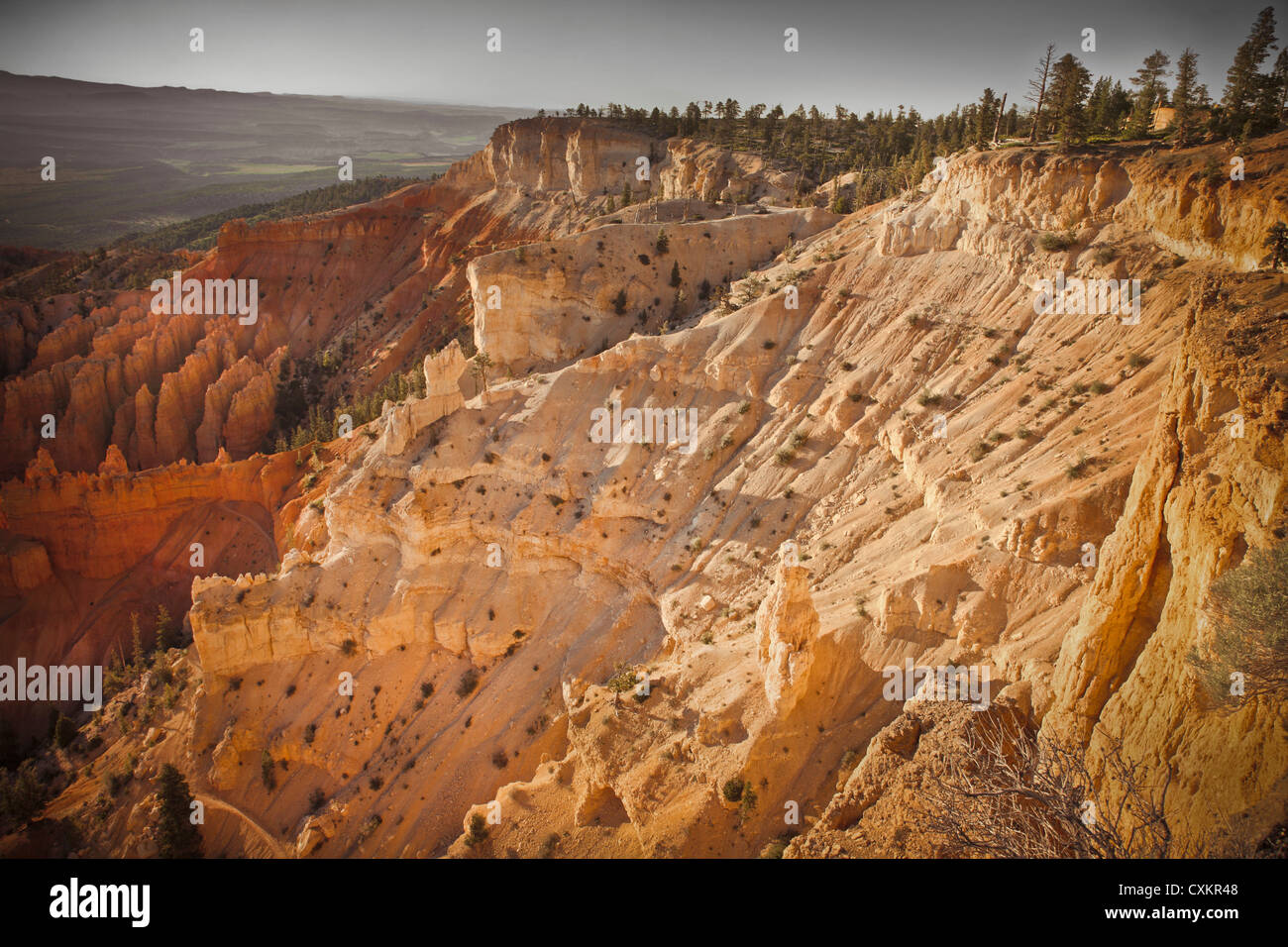 Bryce Amphitheater, Bryce Canyon National Park, Utah, USA Stock Photo ...
