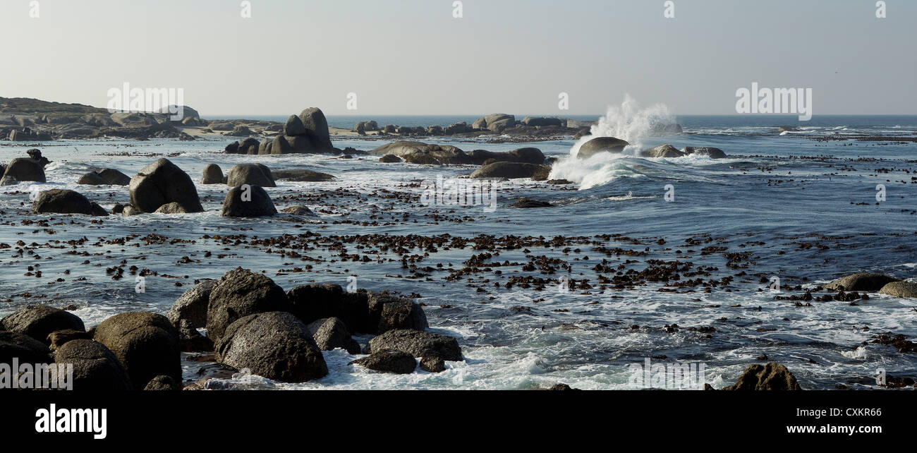 Indian Seashore With Person High Resolution Stock Photography and ...