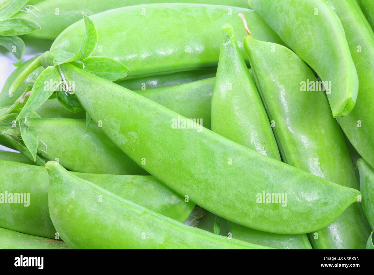 Healthy crop of peas hi-res stock photography and images - Alamy