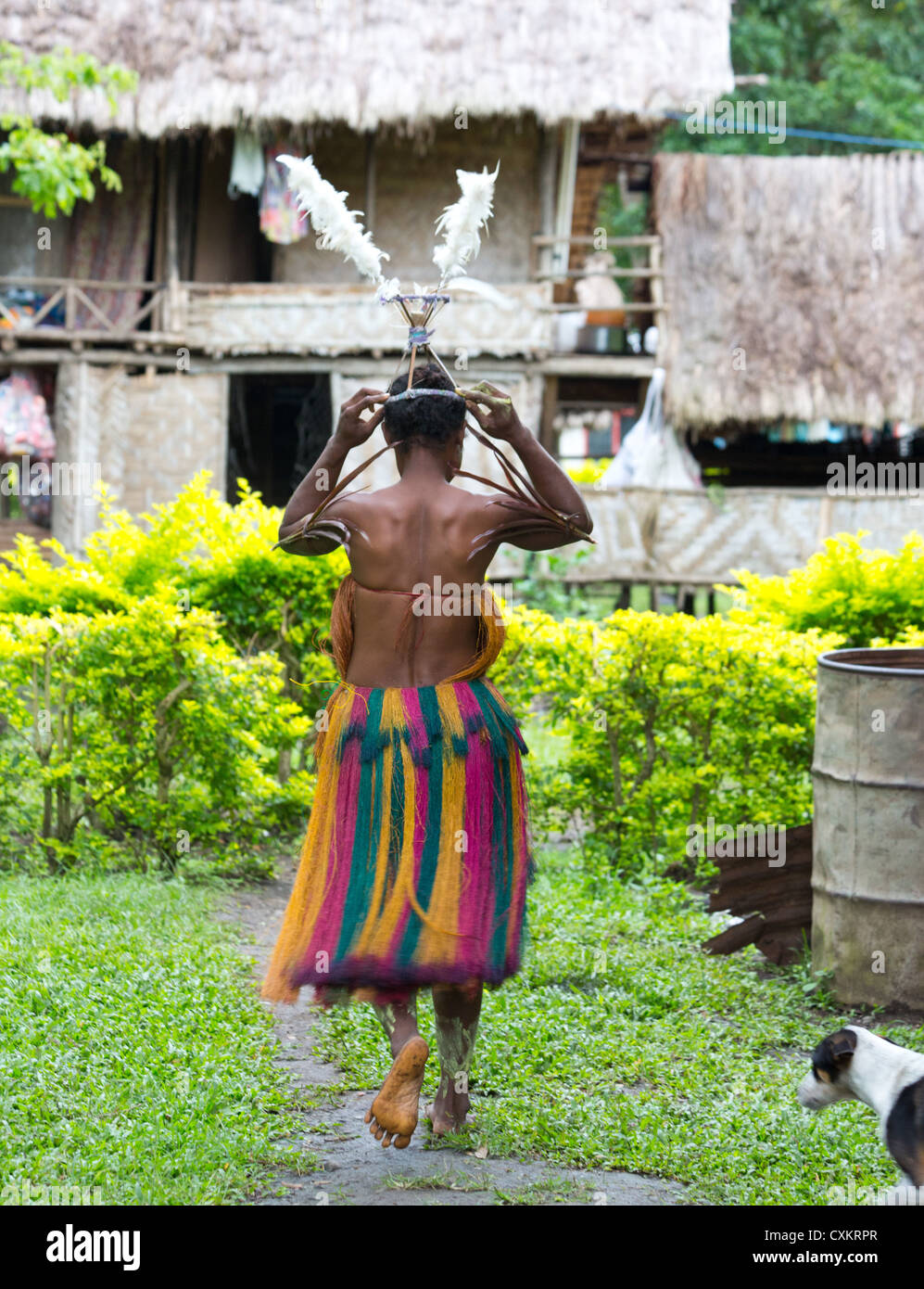 Papua new guinea tribal dress hi-res stock photography and images - Alamy