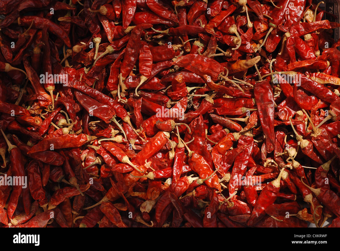 Red chillies food hi-res stock photography and images - Alamy