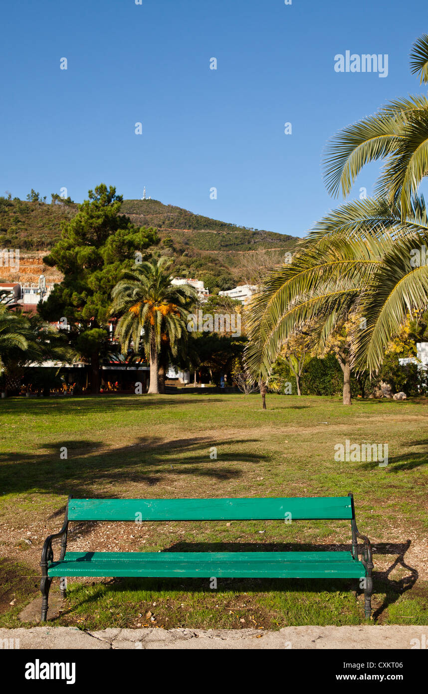 wooden green bench on grass Stock Photo - Alamy