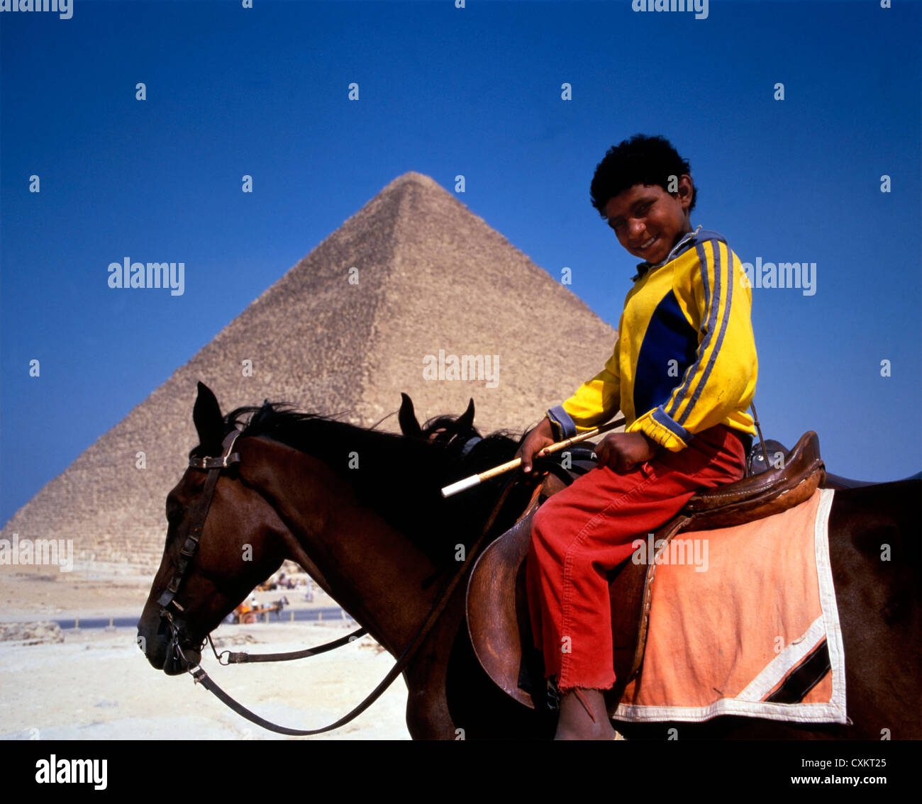 boy on horseback Cairo Pyramids Stock Photo - Alamy