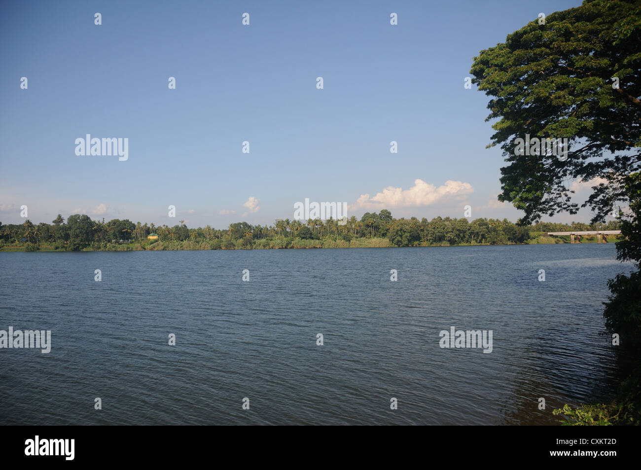 Periyar River, Alwaye, Kerala, India Stock Photo - Alamy