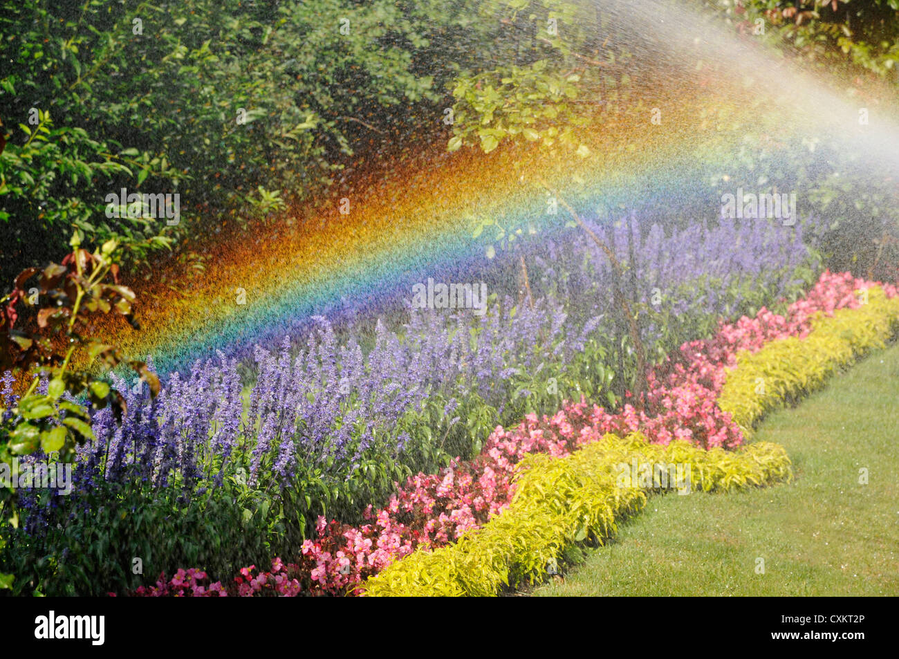 Rainbow With Flowers High Resolution Stock Photography and Images - Alamy