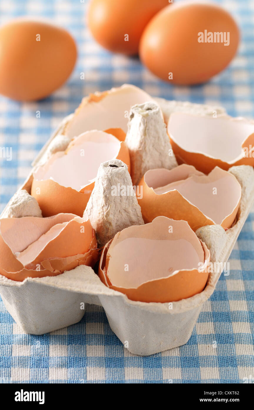 Broken Egg Shells in Carton Stock Photo - Alamy