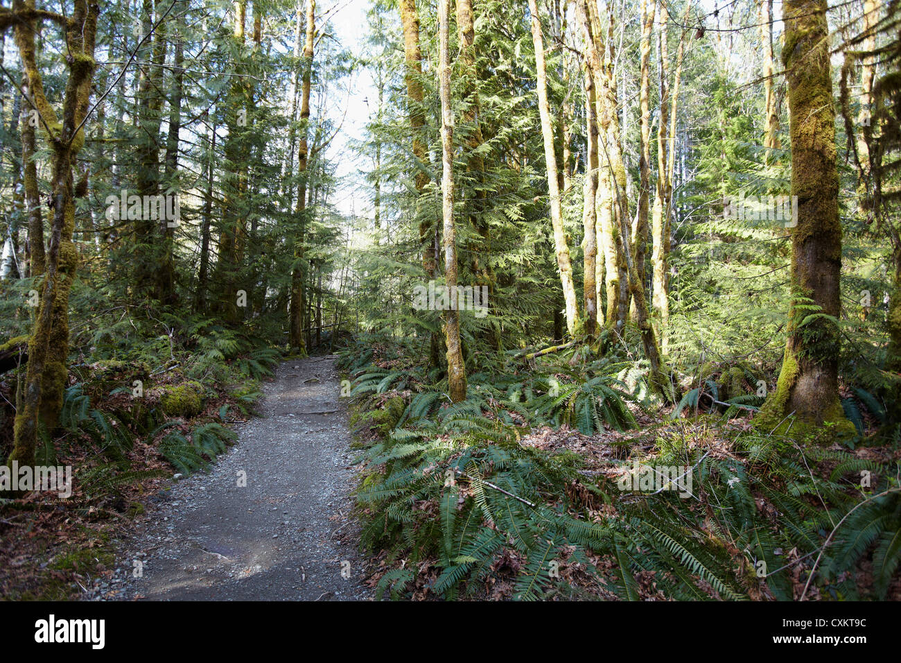 Sproat Lake Provincial Park, Port Alberni, Vancouver Island, British ...