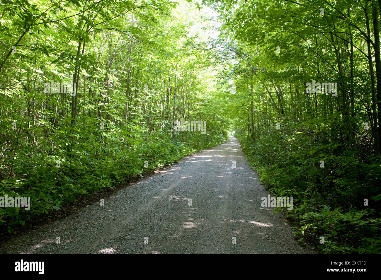 Country Road, Ontario, Canda Stock Photo - Alamy