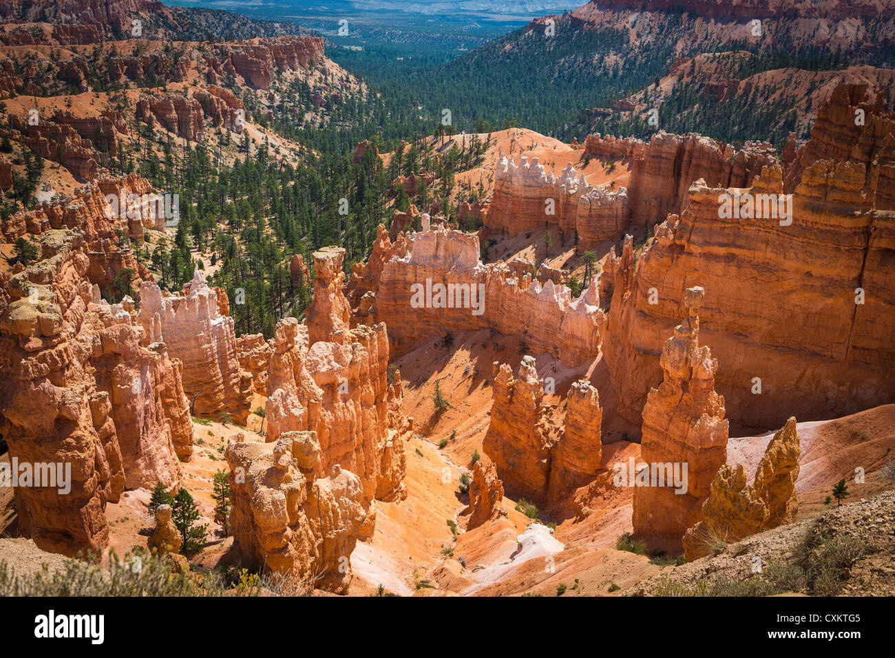 Thor hammer hi-res stock photography and images - Alamy