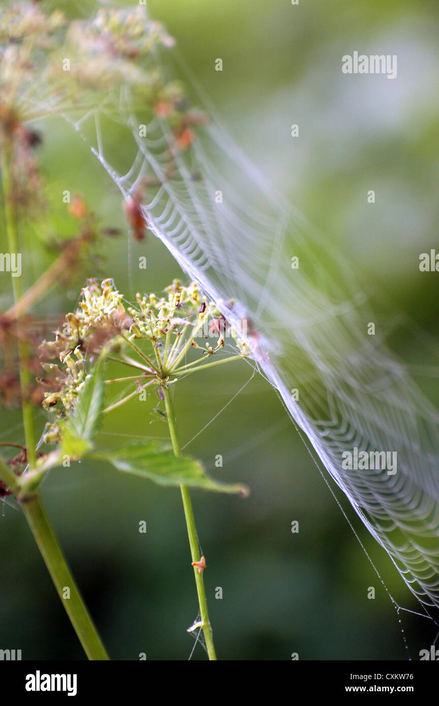 Strings and spheres hi-res stock photography and images - Alamy