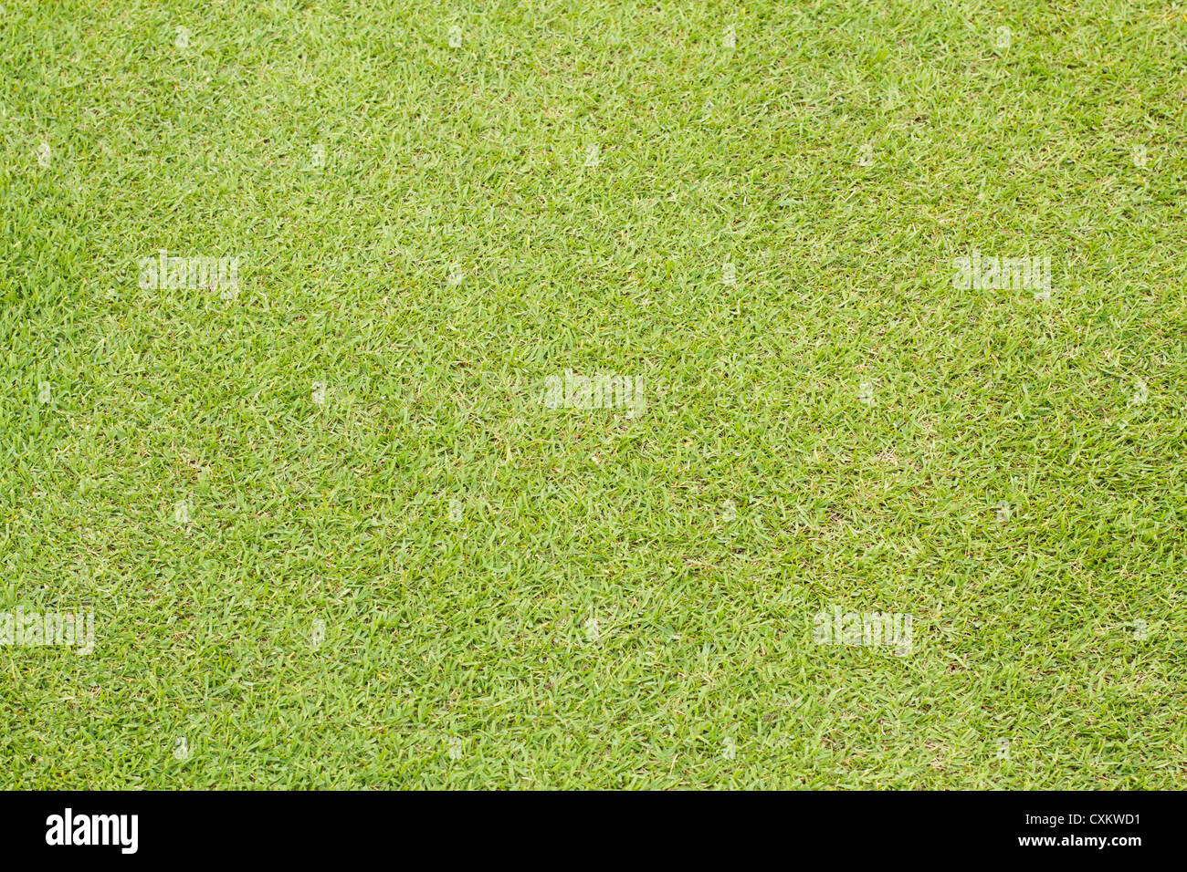 Golfing grounds hi-res stock photography and images - Alamy