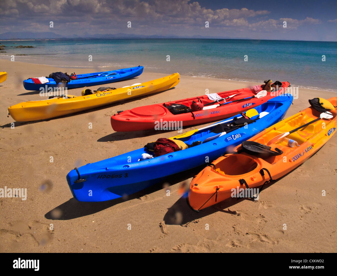 Five Sea Kayaks lined up on sandy beach in Byron Bay, Australia Stock ...