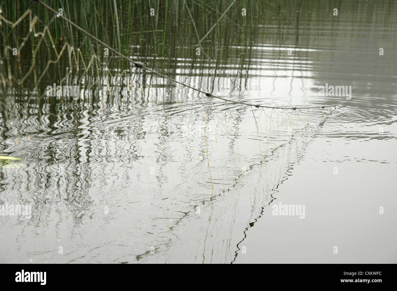 A photo of fishing net in lake Stock Photo - Alamy