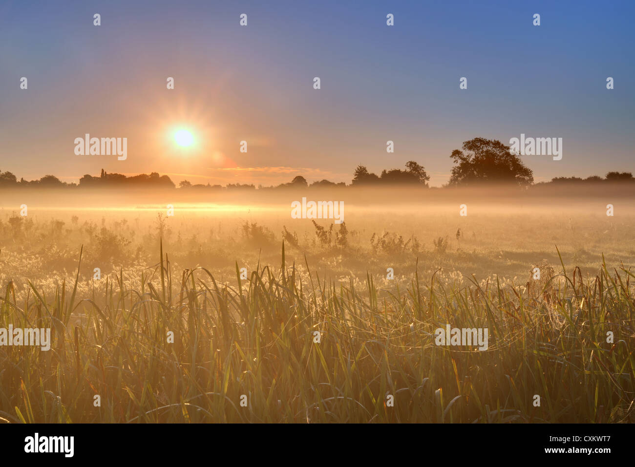 Mist rising over the fields at sunrise Ditton Meadows, Cambridge ...