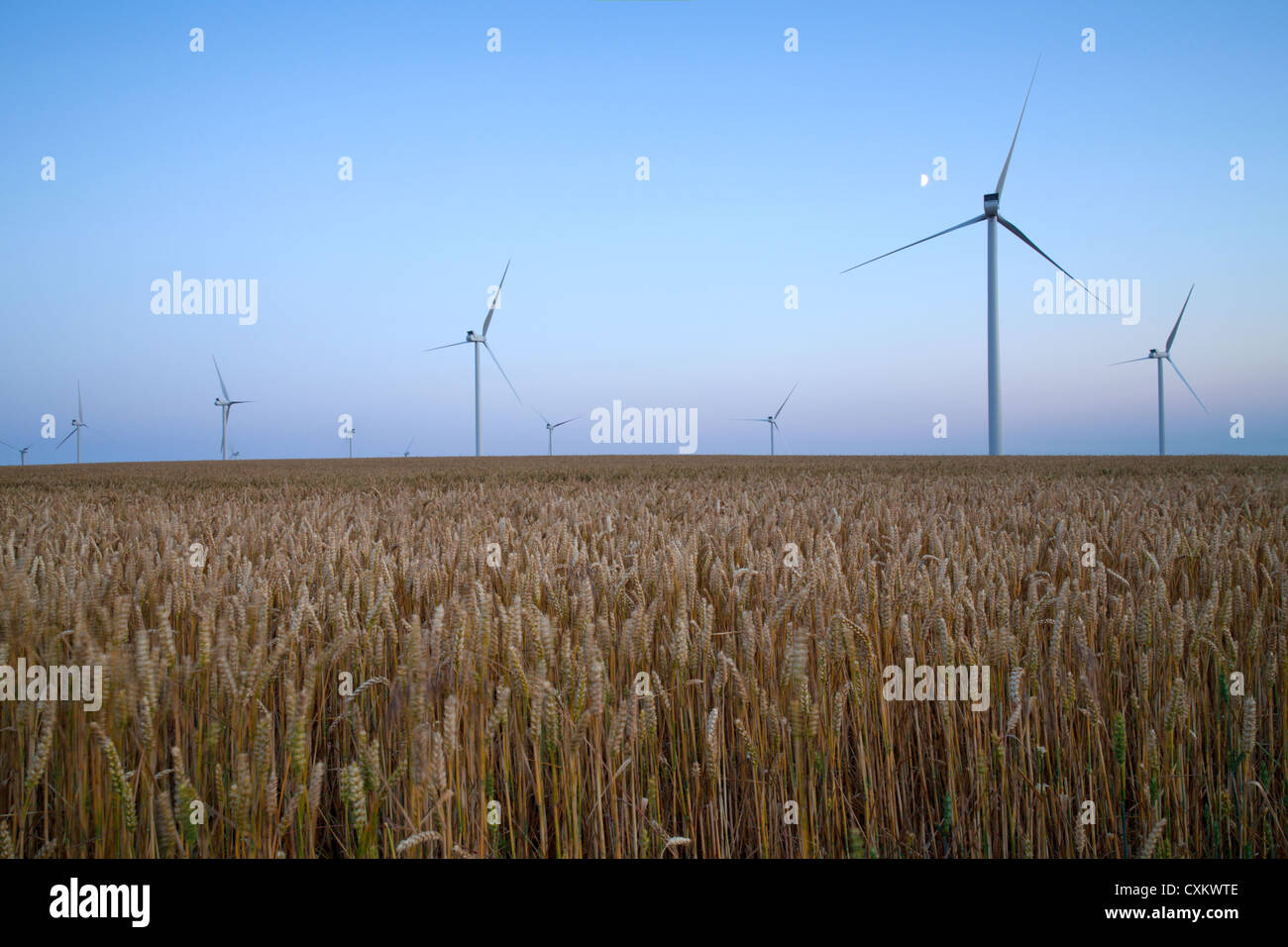 Cambridge wind farm hi-res stock photography and images - Alamy