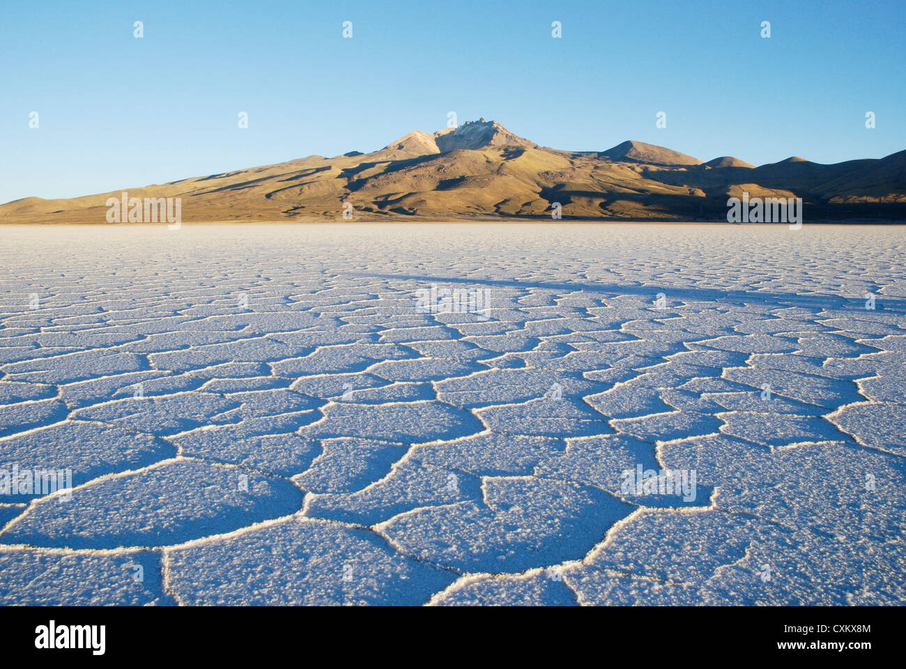 View of the volcano Tunupa from the Salar de Uyuni Stock Photo - Alamy