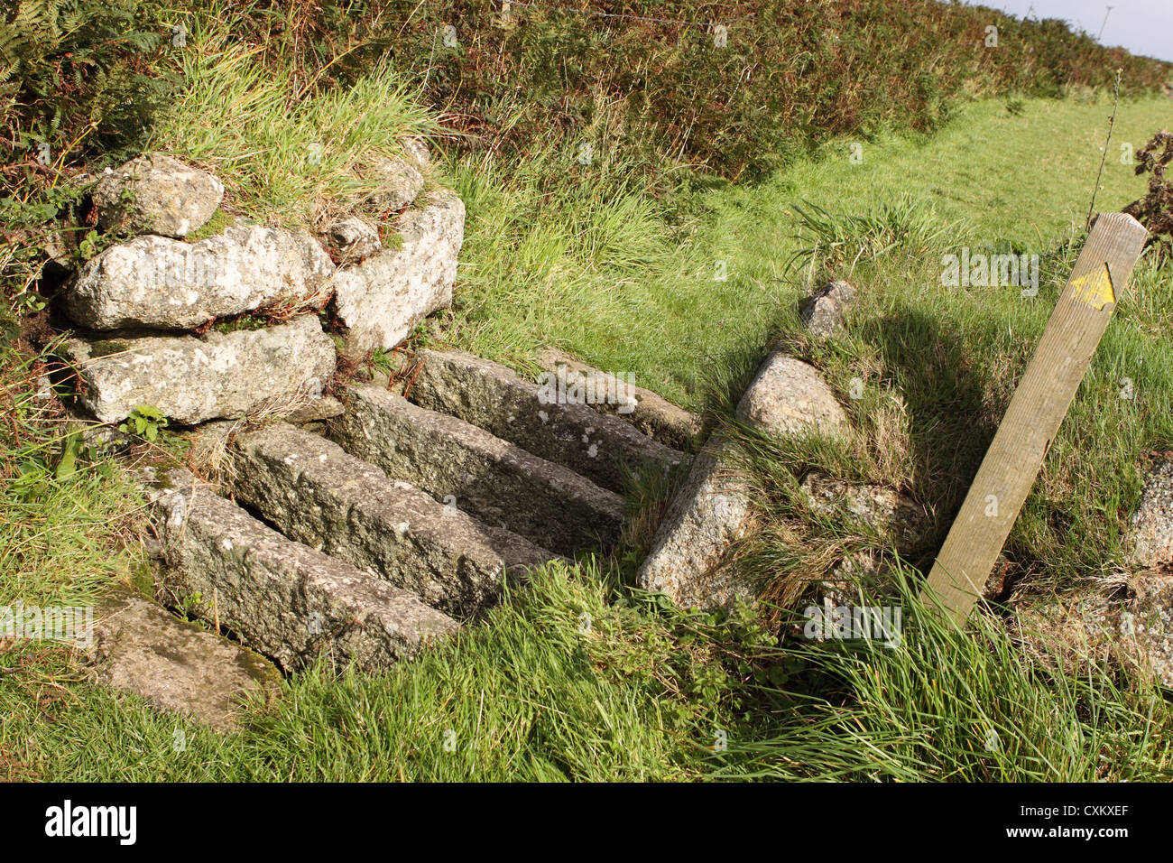 Cornish stone cattle grid hi-res stock photography and images - Alamy