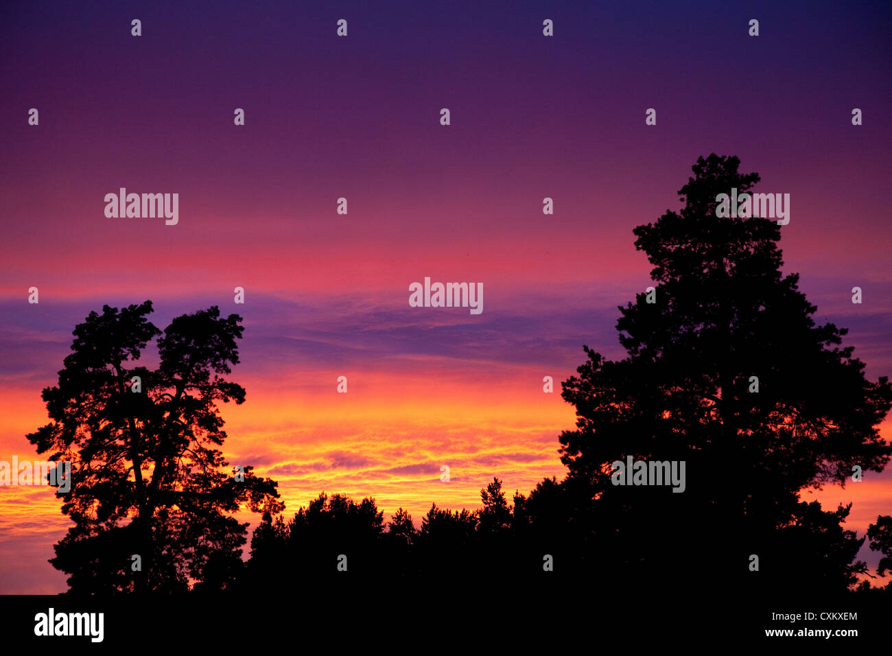 Red and purple sunset hi-res stock photography and images - Alamy