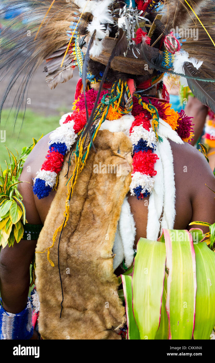 Man wearing traditional tribal costume at the singsing Goroka Festival ...