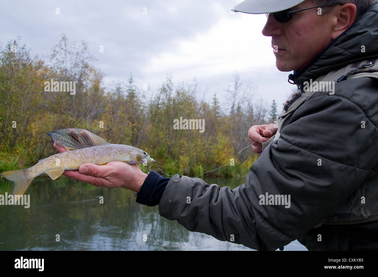 Alaska's Nenana River tributaries offer great fishing for large ...