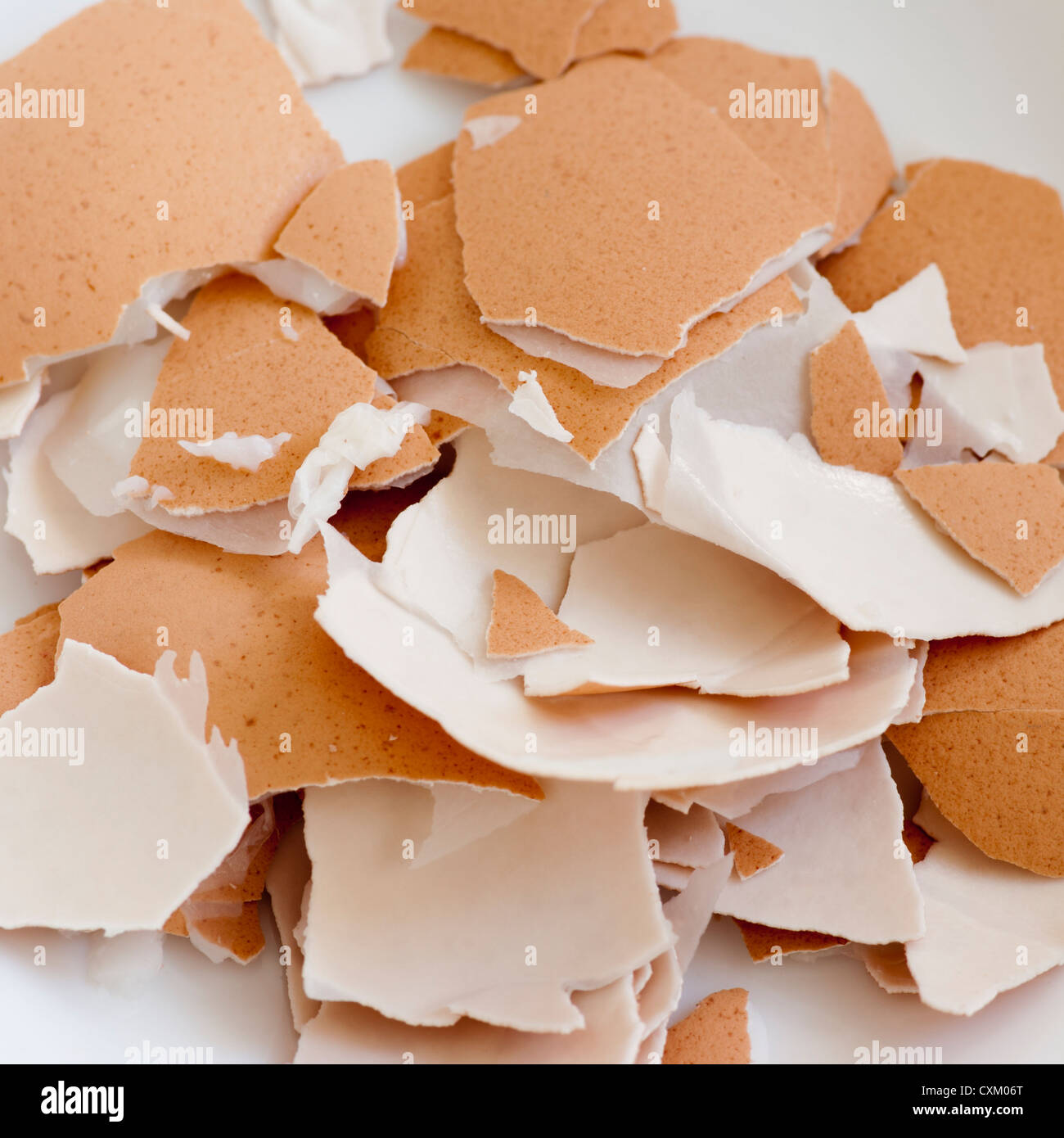 Broken Egg Shells Stock Photo - Alamy