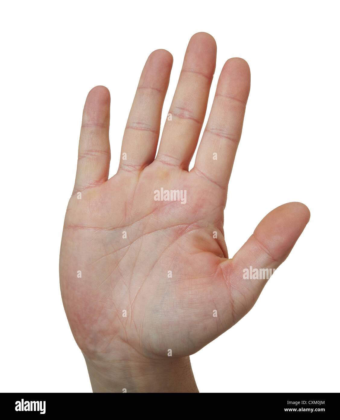 No, stop, halt. Male hand gesture on plain white. Cut Out Stock Photo ...