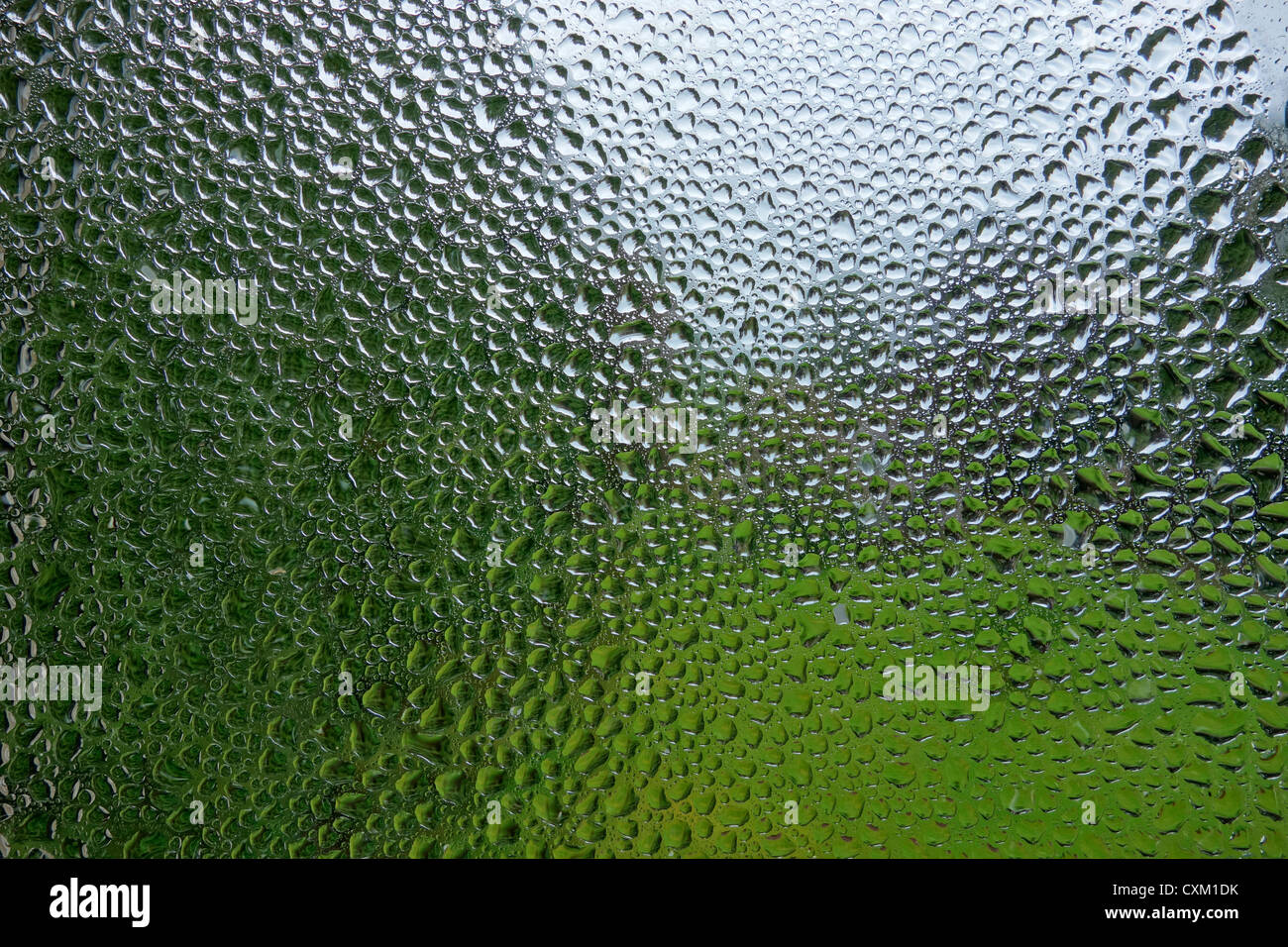 Water condensation and rain drops pattern on a window Stock Photo - Alamy