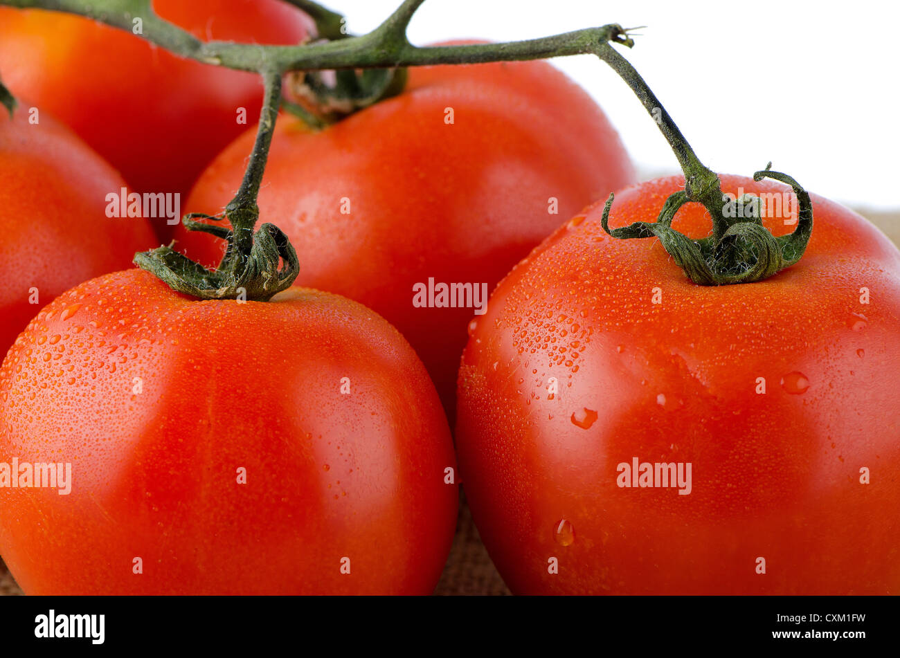 Cherry Tomatoes on the vine over raffia background Stock Photo - Alamy