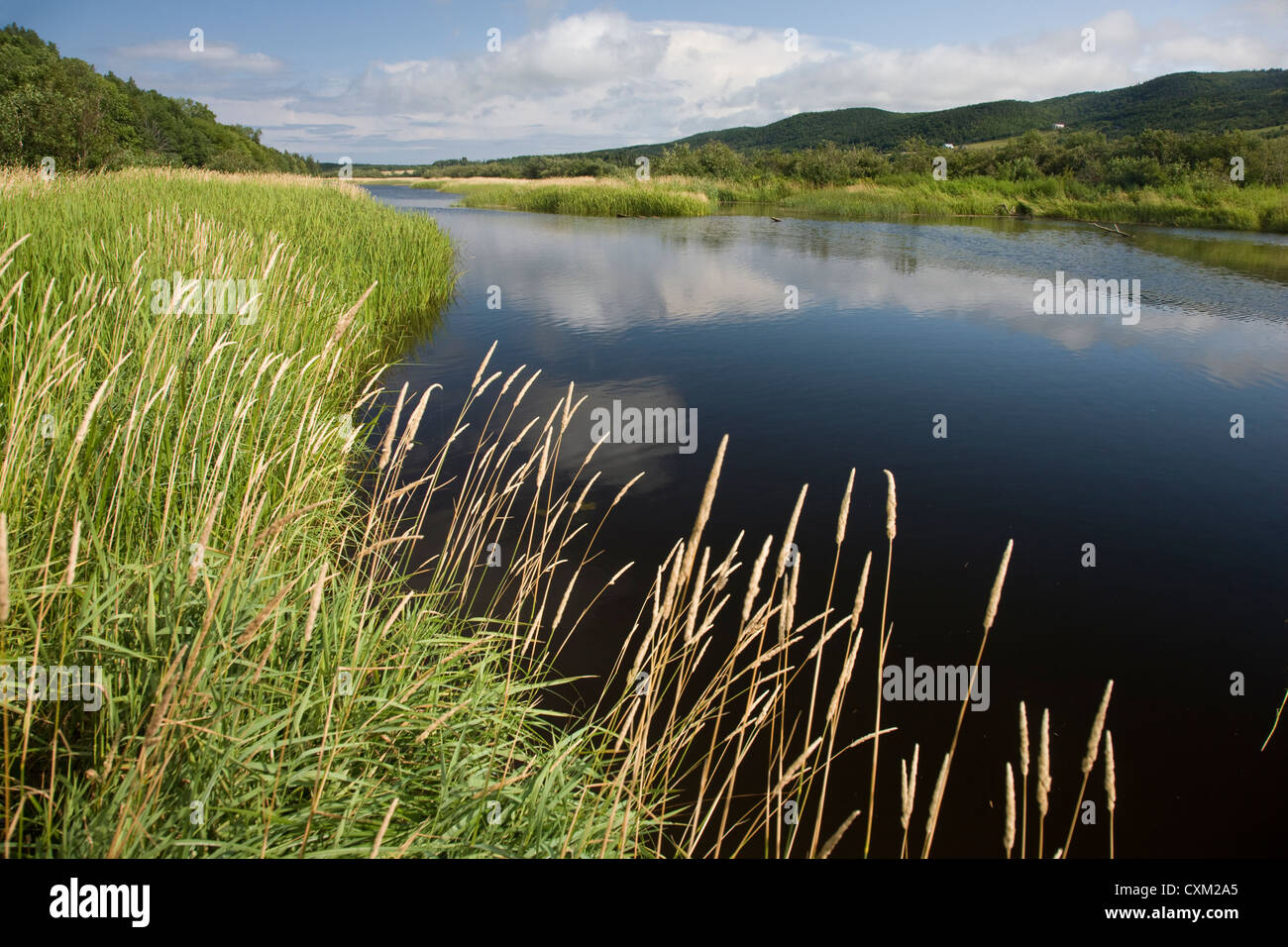 The Margaree River from the East Margaree Crossing Road on the Cabot ...